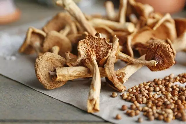 Mushroomên Blank ji bo zivistanê - Recipesên çêtirîn 6290_11