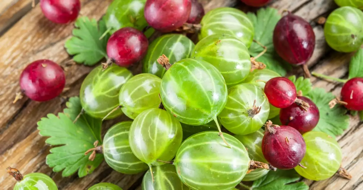 Nyekundu, njano, kijani - chagua grooves ya rangi ya dacha