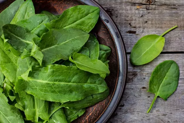 fresh sorrel leaves on a plate, the plate is on the old boards