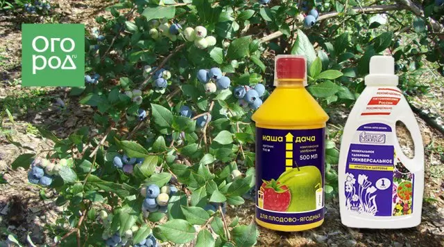 Mga abono alang sa mga blueberry