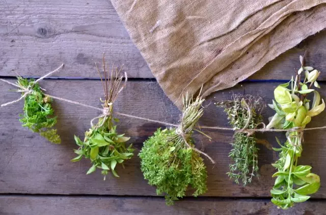 7 methoden van groenen van groen voor de winter