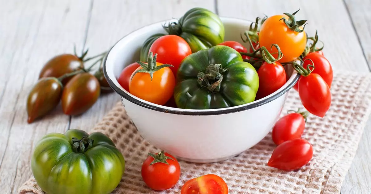 Tomatenmeisterschaft: Lieblingssorten von Sammler