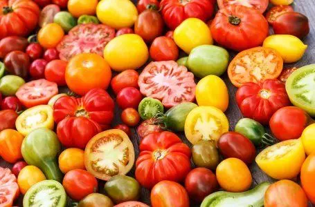 Stripe tomaten - Bêste fariëteiten mei foto's en beskriuwing