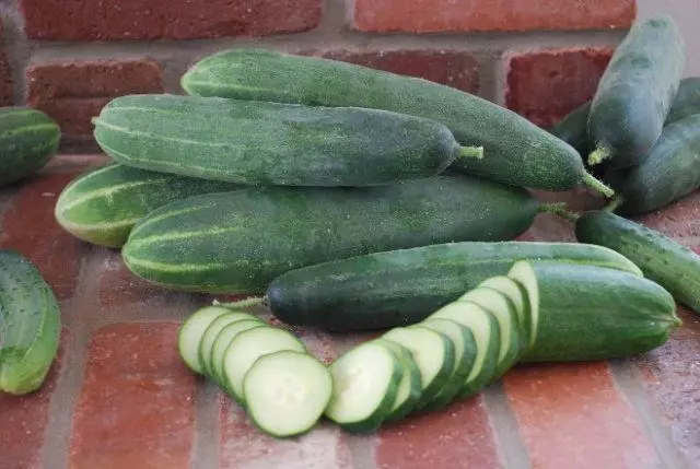 Pepinos para saladas