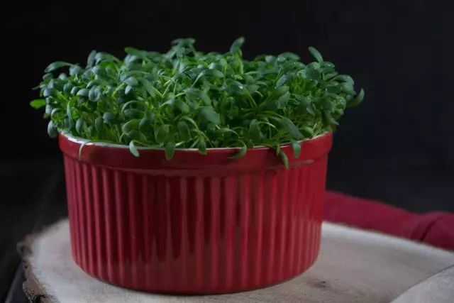 How to grow greens on the windowsill in winter