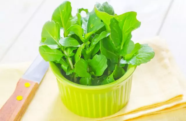 Arugula en una olla