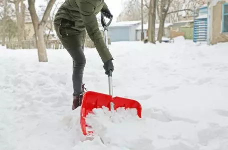 Kalẹnda ti itọju ti awọn meji fun gbogbo ọdun 6368_4