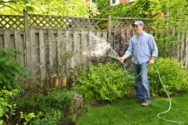 Arroser le jardin en été