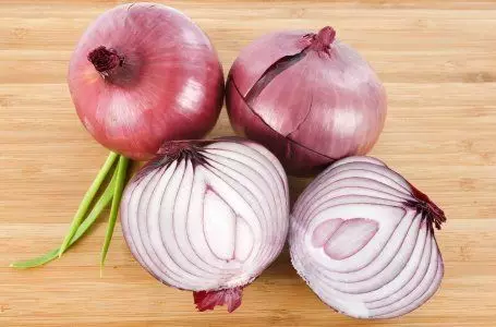 Sweet onions: varieties and agrotechnics 6371_13