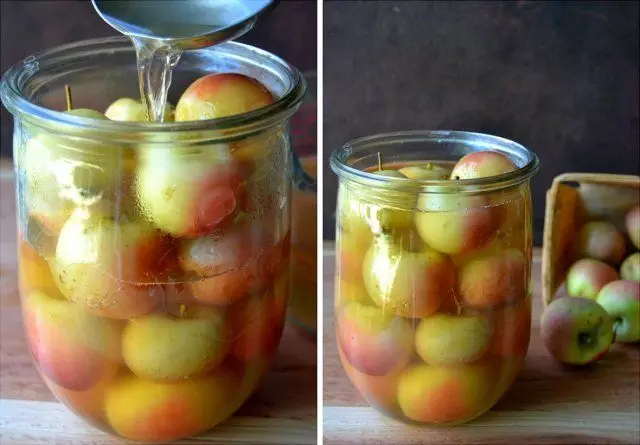 געשמאַק roin apples אין שטוב - פּשוט רעסאַפּיז פֿאַר יעדער 6372_9