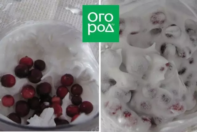 Cranberries in Eiweißcreme