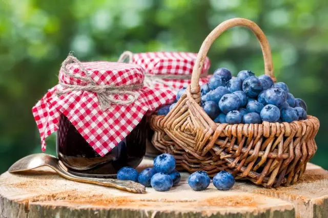 5 Maayong mga hinungdan sa pagtanum sa mga blueberries sa tanaman