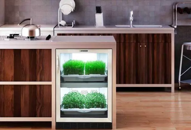 How to grow greens in a kitchen cabinet