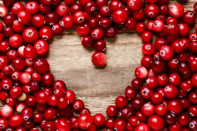 প্লট উপর বাগান cranberries ক্রমবর্ধমান - অবতরণ এবং যত্ন সম্পর্কে সব