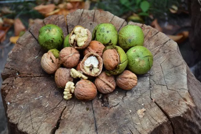 walnuts