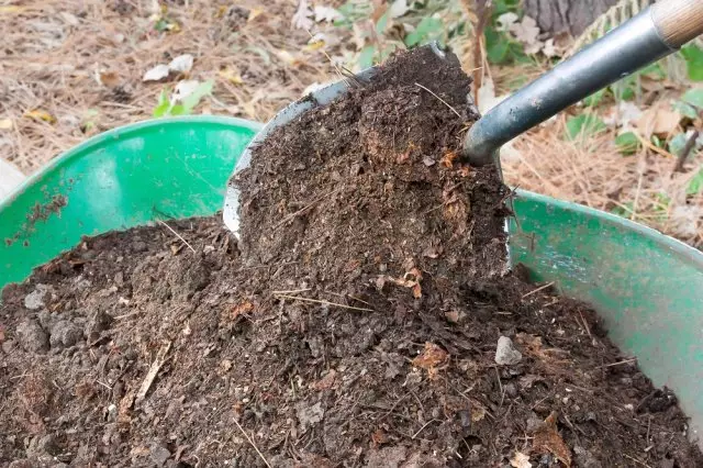 Mikarakara ny zaridaina sy ny zaridaina legioma