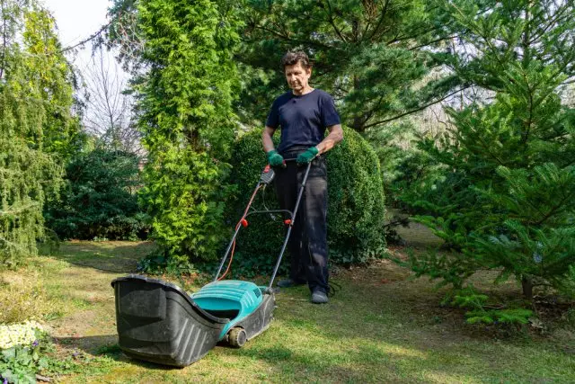 Cuidar de jardim e jardim vegetal