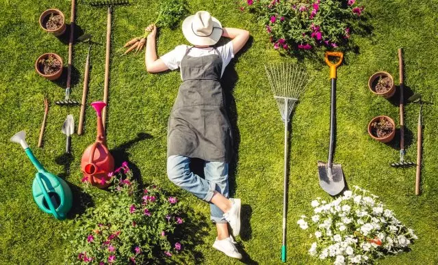 9 ways to handle your garden and garden 678_47