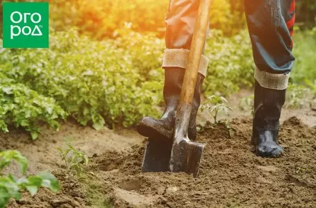 9 načina za rukovanje vašim vrtom i vrtom 678_6