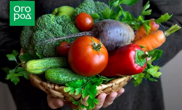 Comment traiter le jardin des maladies du printemps à l'automne pour augmenter la récolte 681_9