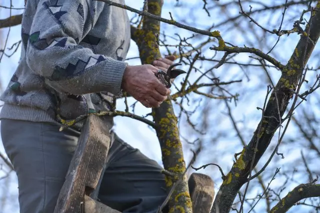 Com preparar el jardí