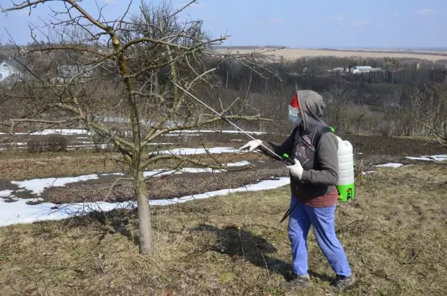 Què manejar el jardí a la primavera