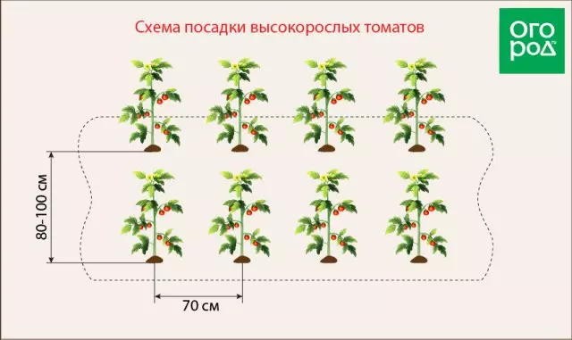 Izkraušanas augstie tomāti