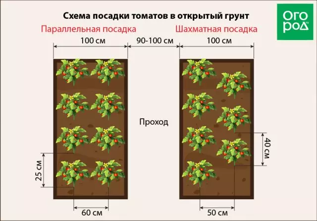 ลงจอด Tomatov