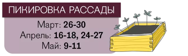 Moon kalendar sjetve paradajz za 2018. godinu 743_26