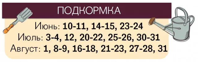 Calendario lunare Semina i pomodori per il 2018 743_38