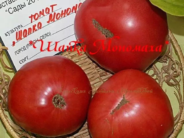 Monomakh kilasy