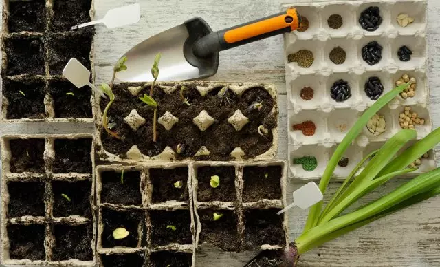 Terra para plântulas - como preparar a mistura certa para plantas jovens