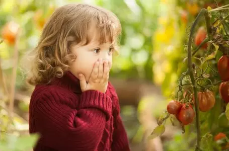 Effectieve folk remedies van fytoophules op tomaten en aardappelen 754_9