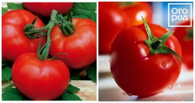 La-la-F1 barietate tomatea