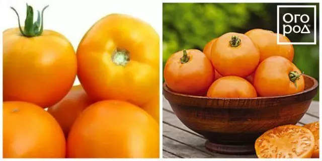 Tomate barietatea ryzhik f1