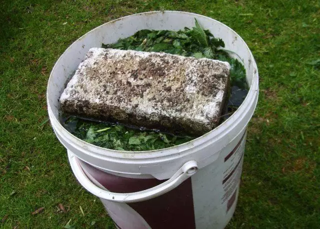 Infusión de hierbas fertilizantes.