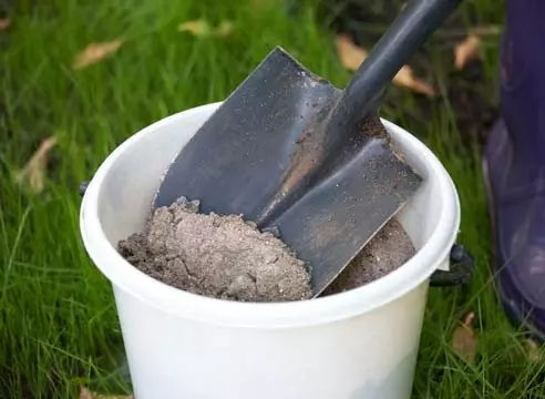 How to feed cucumbers ash