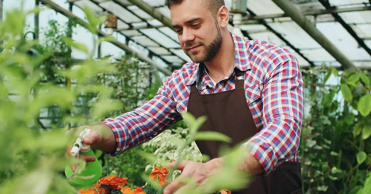 Vitamin konplèks pou plant - ede nan nenpòt ki lè