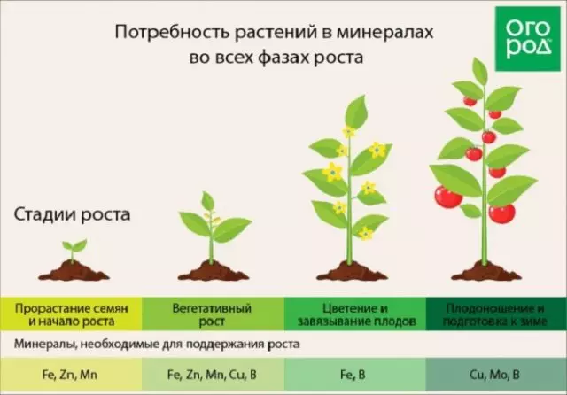 Vitamini għall-pjanti - għalf universali għall-okkazzjonijiet kollha