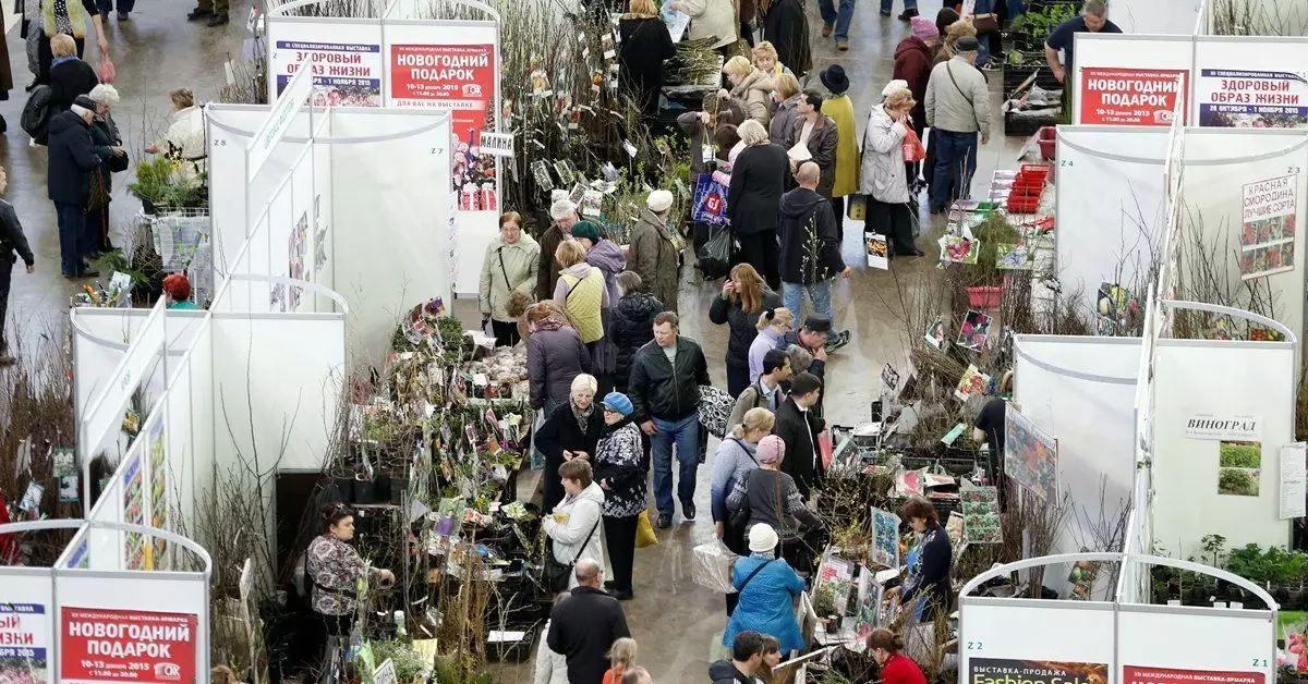 Petersburg Green Week-2017 kommer att hållas i arenan i stadens sport och konsertkomplex