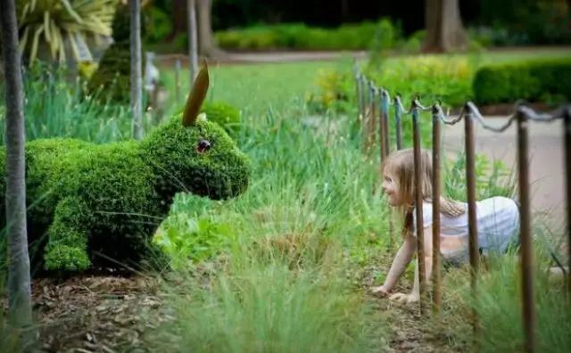 アトランタ植物園の信じられないほどの彫刻 7870_39