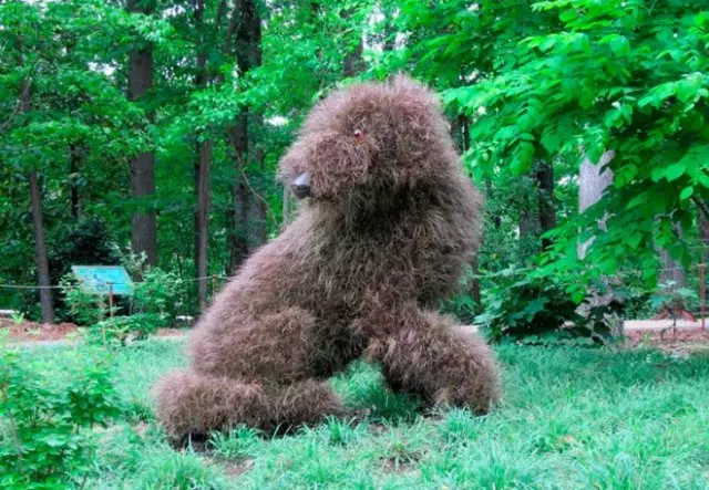 Otroliga skulpturer i Atlanta Botaniska Trädgård 7870_47