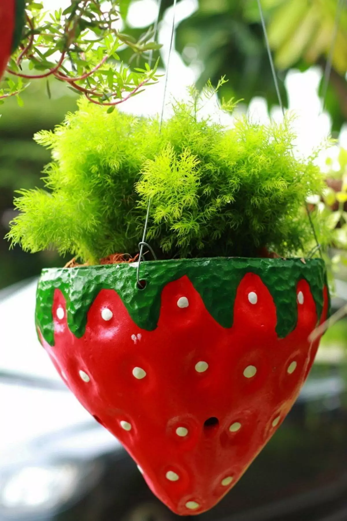 Okooko osisi kashpo na ụdị strawberries