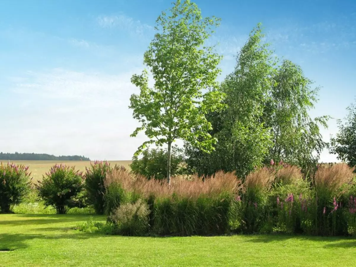 Jardin à l'extérieur de la ville