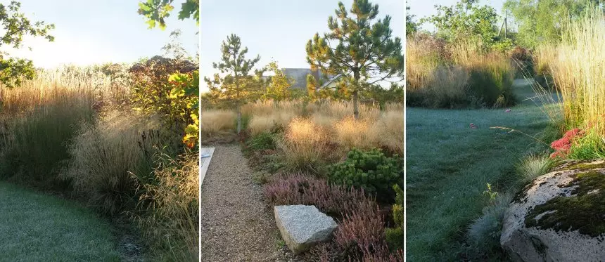 Camas de flores en el sitio