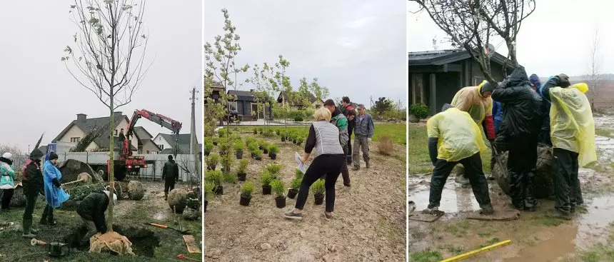 Travail de création de jardin