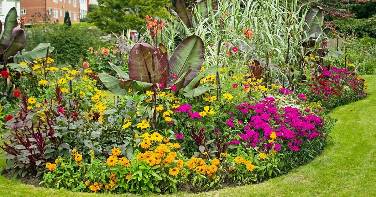 Jardí de flors del cap de setmana: què cal posar el llit de flors, si no hi ha temps perquè pugui tenir cura