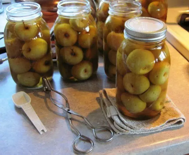 Appels foar de winter: 15 poerbêste manieren fan wurkstik 7950_21