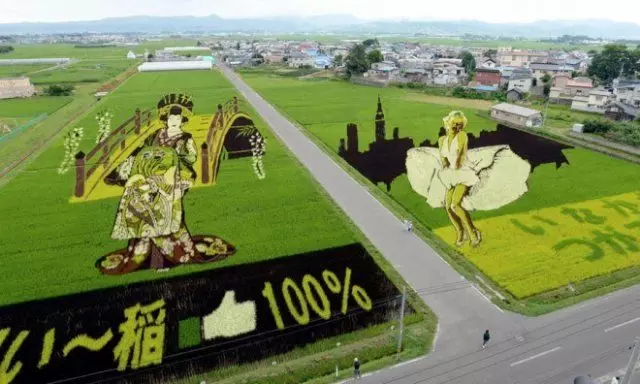 Rice paintings in Japan