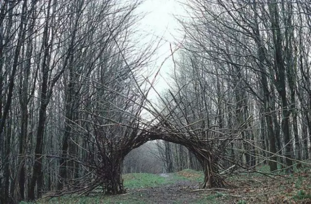 Land art branches